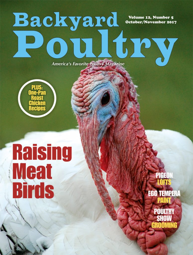 Backyard Poultry October/November 2017 - Backyard Poultry